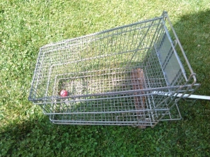 Homemade Fox Trap - HomemadeTools.net